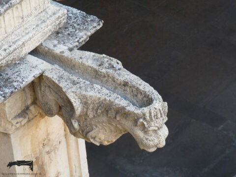Gargoyles: Definition and Function in Medieval Architecture