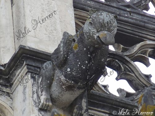 Animal Monsters in Gargoyles. Art History and Research