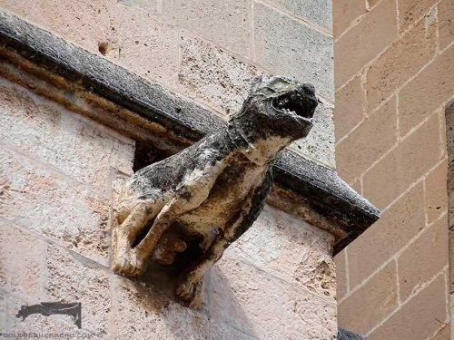 Catedral de Palma de Mallorca | Gárgolas - Dolores Herrero
