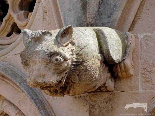 Catedral de Palma de Mallorca | Gárgolas - Dolores Herrero