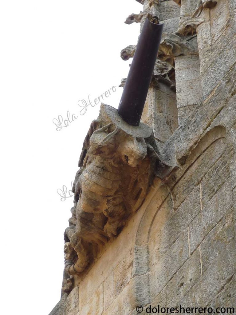 The Two-headed Creature and its Portrayal in Gargoyles