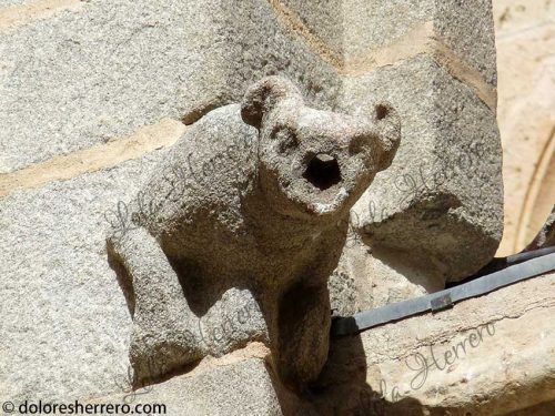 Gárgola de la Catedral de Segovia | Gárgolas - Dolores Herrero