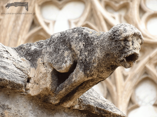 Catedral de Valencia | Gárgolas - Dolores Herrero