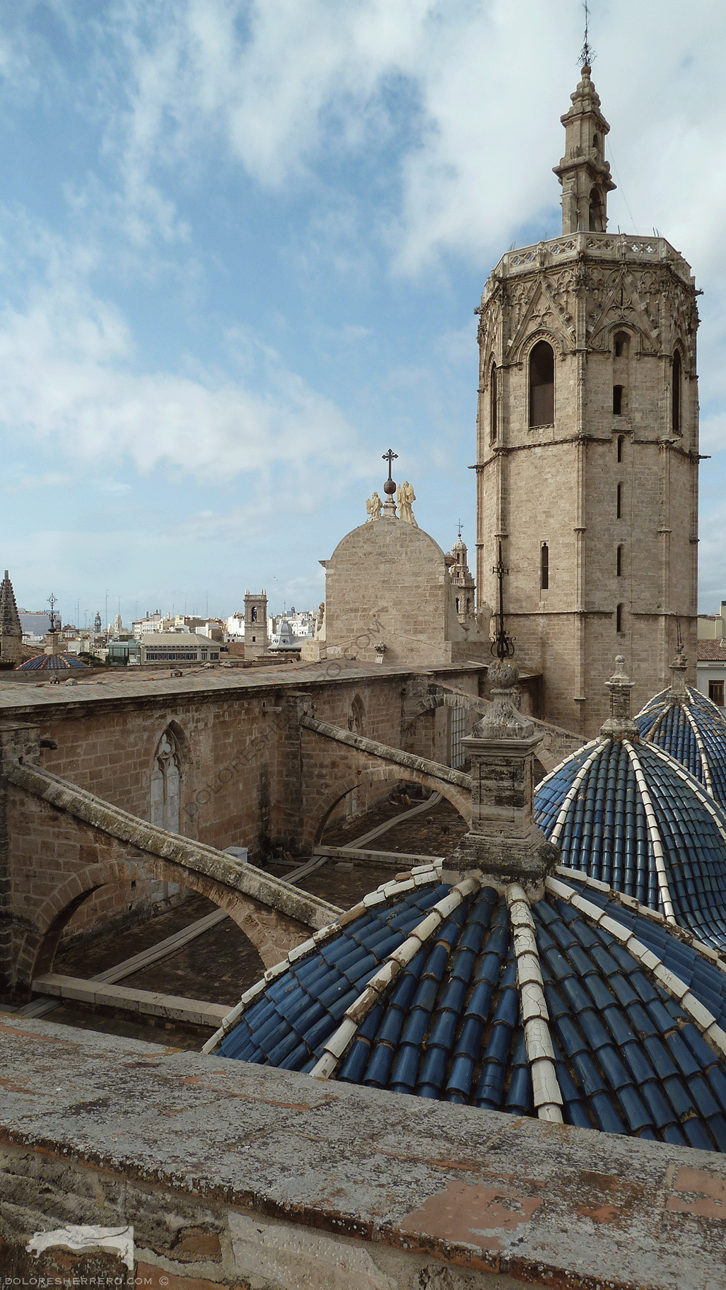 Las gárgolas de la Catedral de Valencia