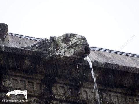 Gargoyles: Definition and Function in Medieval Architecture